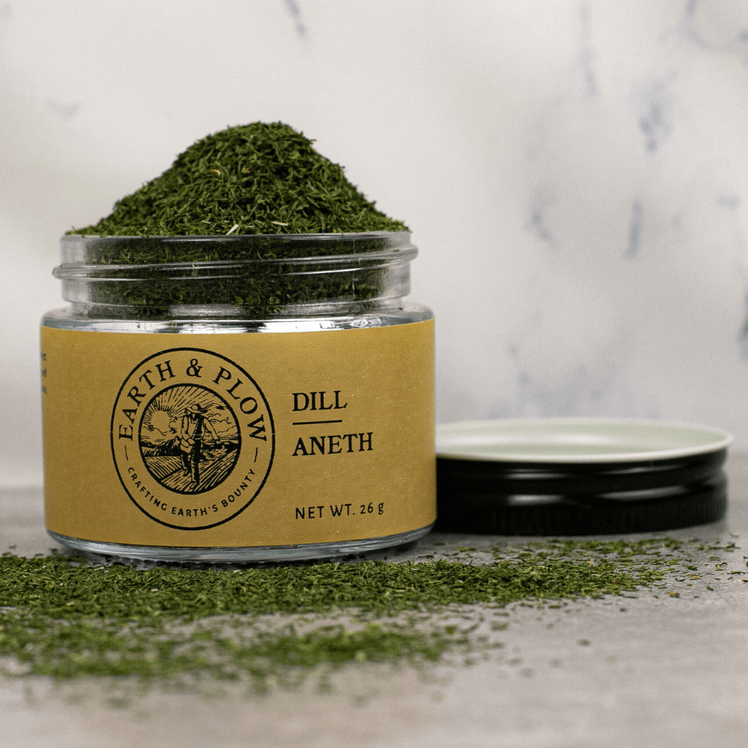 Dill | Earth & Plow